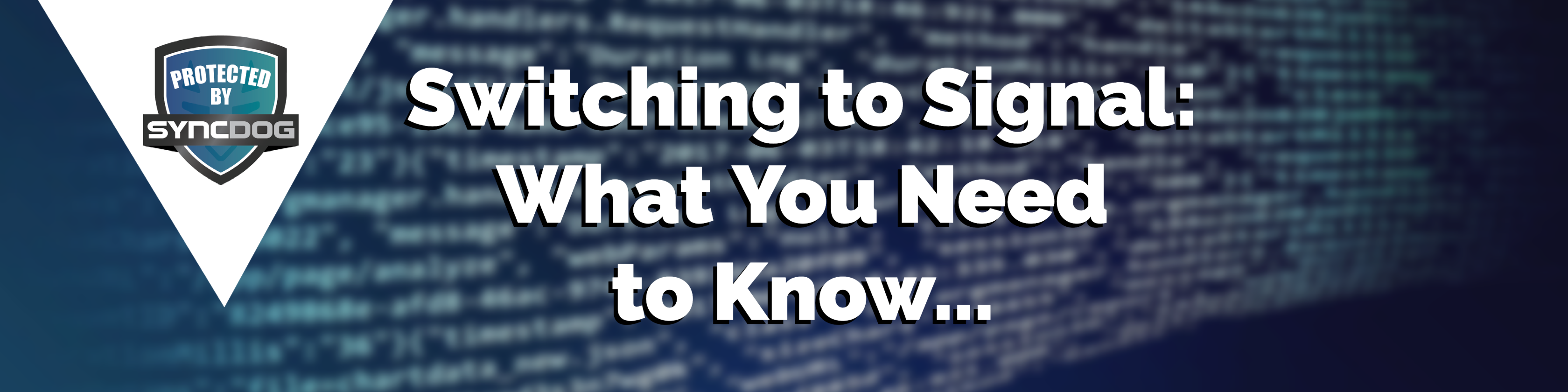 Switching to Signal: What You Need to Know About End-to-End Encryption ...